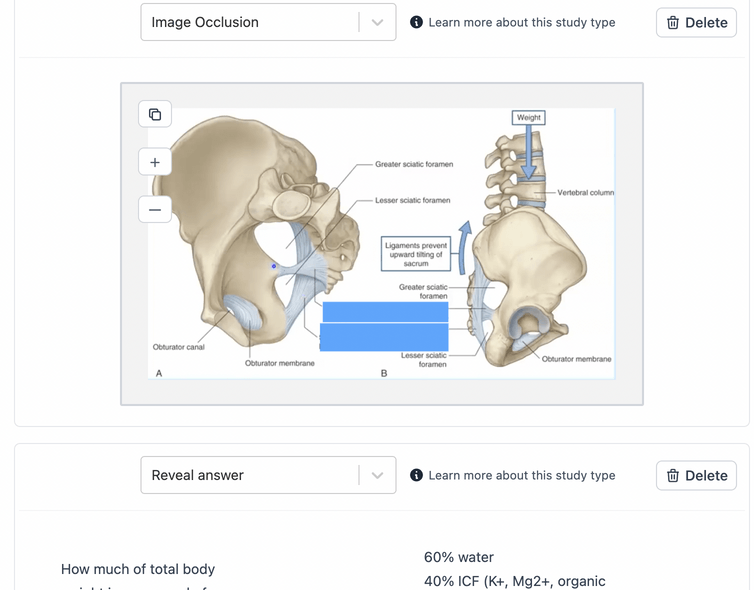 Image Occlusion | Studius